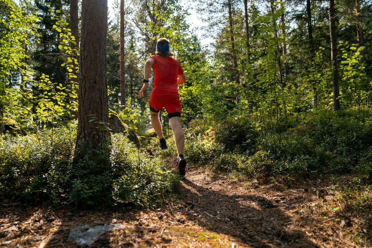 The Role of Nutrition in Running Performance: A Scientific Perspective ...
